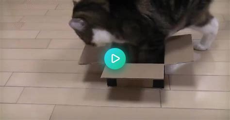 Screw Fitting  On Imgur