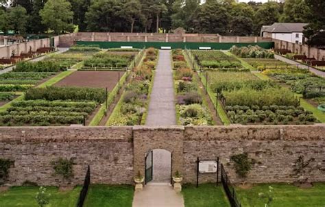 The Wright Group Dublin