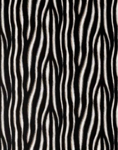 Zebra Print Black And White Stripes Pattern Magnetic Frame Zebra Print