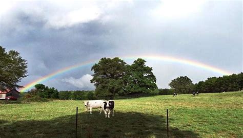 مجموعه عکس های رنگین کمان تابان