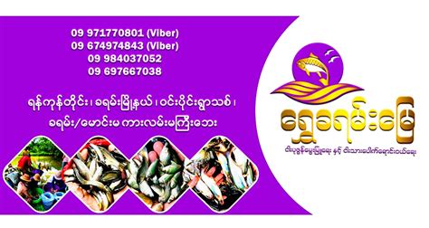 သရဖီ သရဖီ ငါးမျိုးသားပေါက်ရောင်းဝယ်ရေး လုပ်ငန်းစု