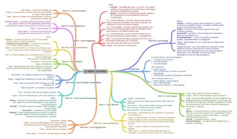12 Nerfs Cranien Coggle Diagram