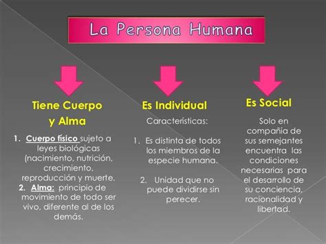Guias De Trabajo Academico