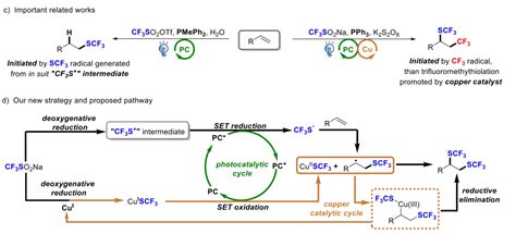 南京理工大学易文斌：三氟甲基亚磺酸钠在光催化介导下的烯烃双scf3反应 上海善施科技