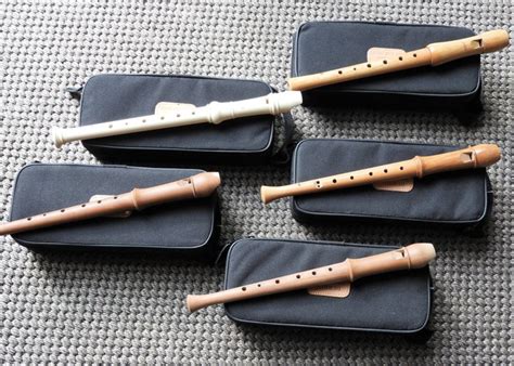 Lot Of 5 Soprano Recorders In New Luxurious Case Catawiki