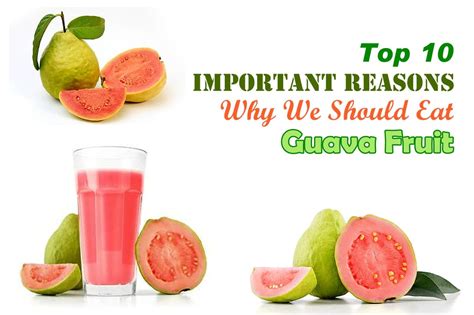 Top 10 Health Benefits Of Guava Fruit Fitolympia