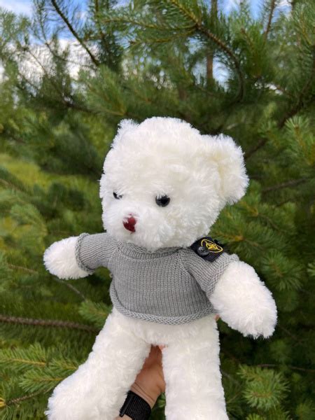 Мишка Stone Island - купить с доставкой по выгодным ценам в интернет ...