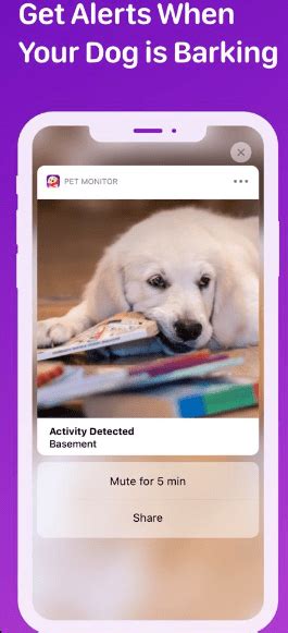 9 Pet Care Apps In 2024 Free And Paid Guiding Tech