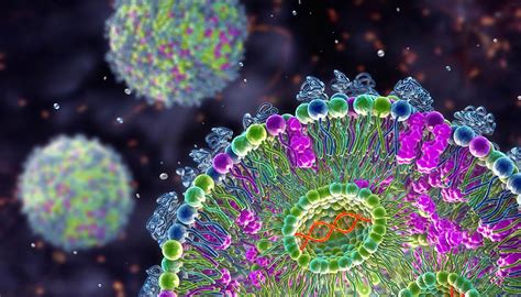 Mrna How Messenger Rna Drugs And Vaccines Will Work Lnu News