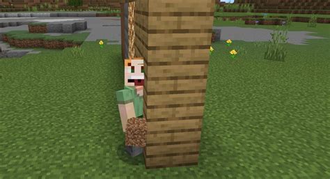 Ghost Block Addon For MCPE 1 20 81