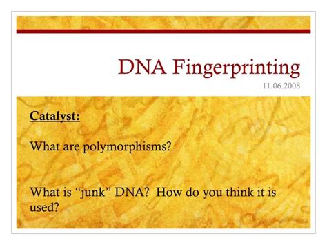 ppt dna fingerprinting powerpoint presentation free download id 2617307