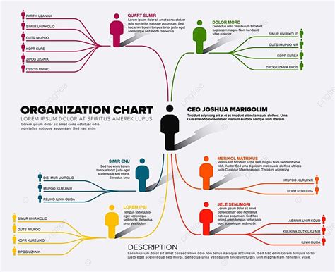 미니멀리스트 회사 조직 계층 구조 다이어그램 템플릿 템플릿 Psd 다운로드 디자인 자료 다운로드