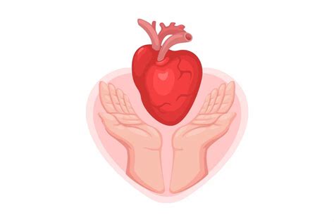 World Organ Donation Day Transplant Icon Graphic By Aryohadi