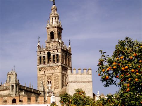 MI CAMINO DIGITAL SEVILLA