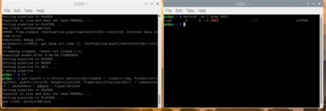 Raspberry Piとgstreamerを使ってwebカメラ映像を配信する方法 心のデブを信じろ