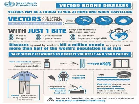 National Vector Borne Disease Control Programme Pptx