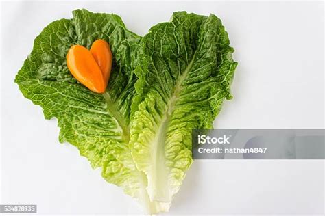 두 로메인 상추 단편 형태의 대상쪽으로 심장 흰색 배경의 로메인에 대한 스톡 사진 및 기타 이미지 로메인 하트 모양 0명