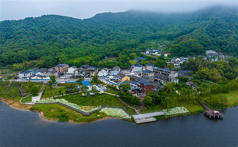 浙江舟山：农文旅融合发展 百里文廊助力乡村振兴 图片频道 人民网