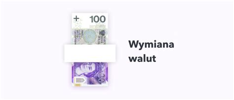 Konto Walutowe W Banku Ing Opinie Opłaty I Lepsze Alternatywy