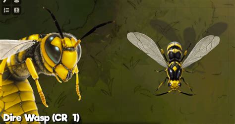 Insect Pack 1 5e Compatible Actors Foundryvtt Ready R Foundryvtt