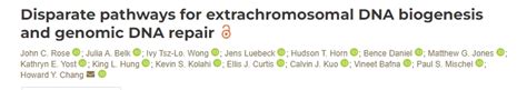 Understanding Double Strand Breaks In The Formation Of Ecdna Oncodaily