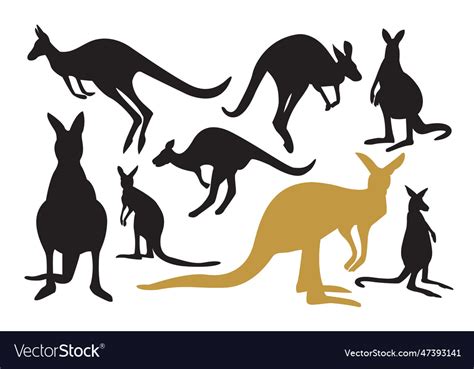Kangaroo Royalty Free Vector Image VectorStock