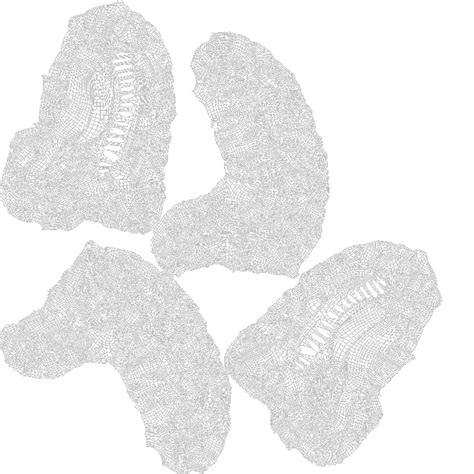 3d Model Brain Turbosquid 2073985