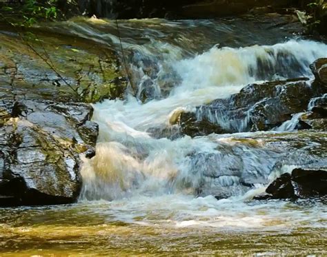 Mae Sa Waterfall Chiang Mai An Unforgettable Journey