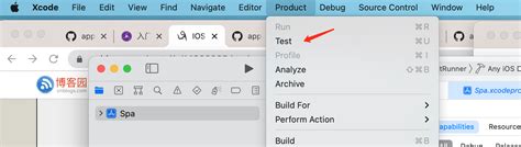 Ios Appium Python