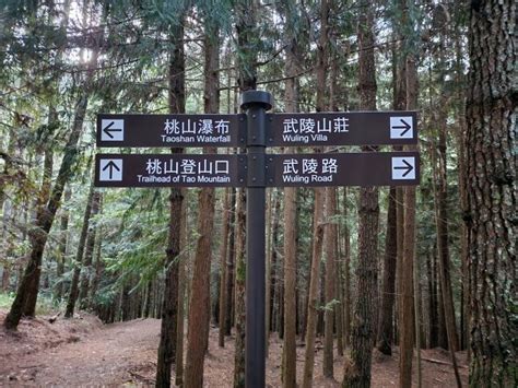 一日桃山 健行筆記