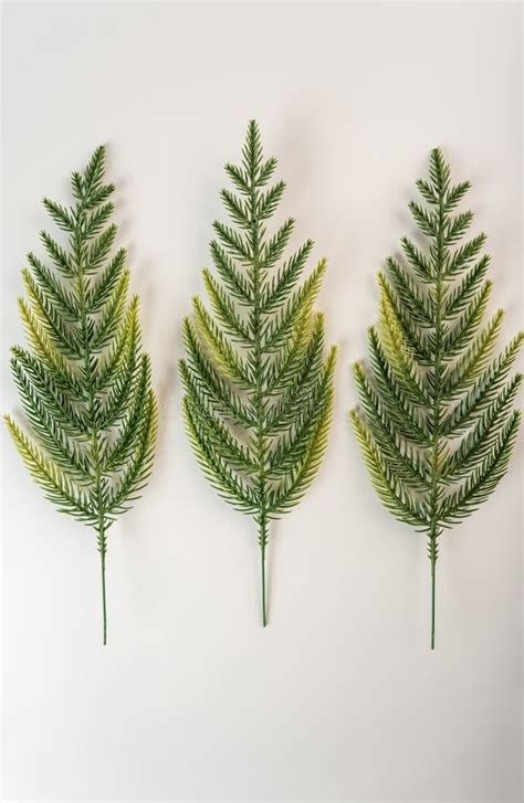 Fake Fir Tree Branch For Decorating Of Bouquets And Home Stock Image