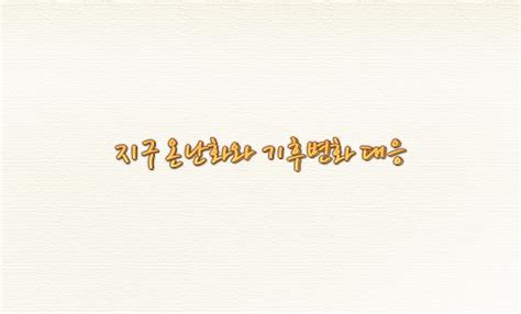 과정정보