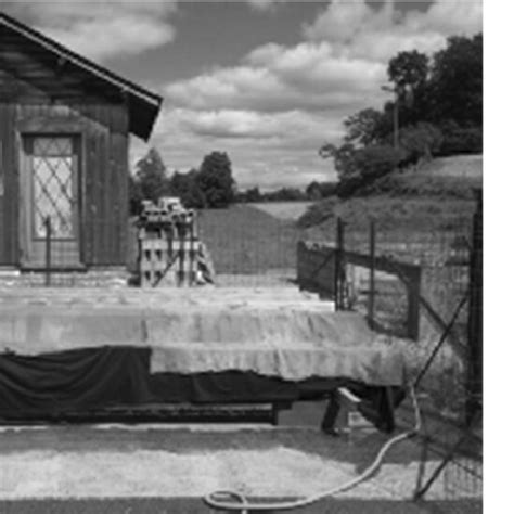Effect Of Grain Angle On The Propagation Velocity Of Ultrasonic Waves