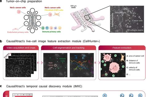 Computational Tool Can Pinpoint Causal Relationships From Complex Biological Data