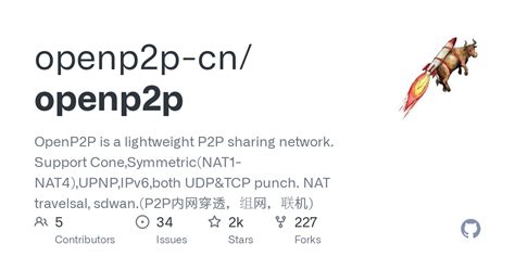 Openp2pexampleechoecho Servergo At Master · Openp2p Cnopenp2p · Github