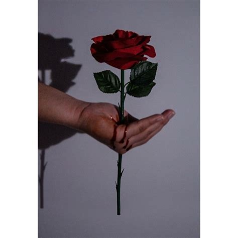 Week 1 The Double Edged Sword 🗡🌹 This Image Pays Homage To All Those