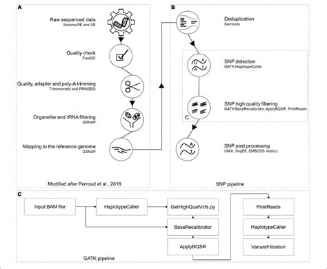 Rna Seq Snp Calling Pipeline Part A Of This Pipeline Was