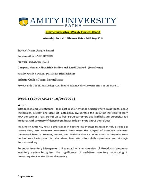 Summer Internship Weekly Report Pdf Sales Marketing