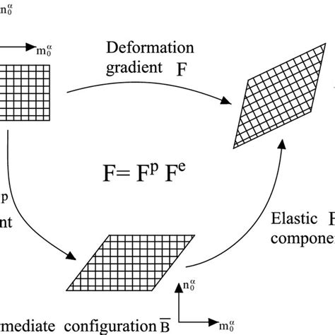 Multiplicative Decomposition Of Deformation Gradient Download