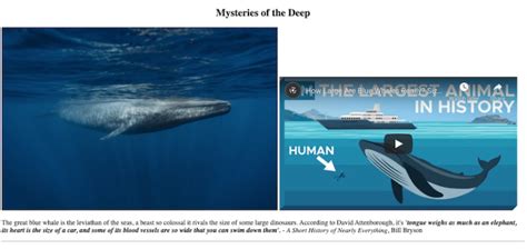 How To Create An Html Project For Beginners Guided Tutorial The