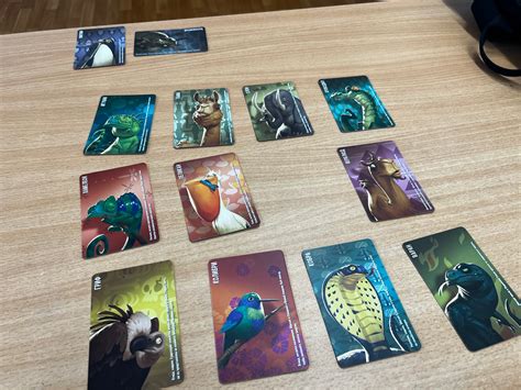 Быстрые впечатления: настольная игра «Similio. Зоопарк» | Good Old Nerpach