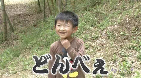 笑ってコラえて！【公式】🗻🦅🍆 On Twitter 笑ってコラえて 6月21日放送回のtver見逃し配信は 明日19時53分まで📝🎯🐶