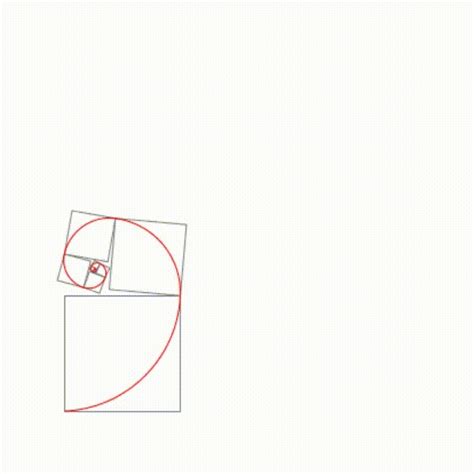Golden Ratio  On Imgur