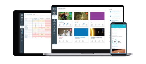 Learning Management Systems Lms In Education Types Examples