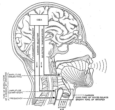 Parametric Speech Synthesis
