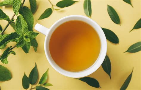 茶葉種類介紹懶人包深入淺出教你如何分辨綠茶紅茶烏龍茶普洱茶 醫茶道