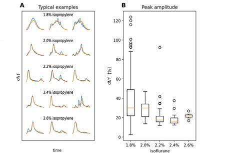 3 typical examples and peak amplitudes the depiction shows data for