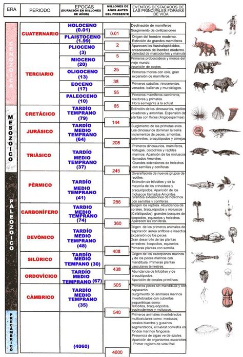 Fossil Record Over Geologic Time Artofit