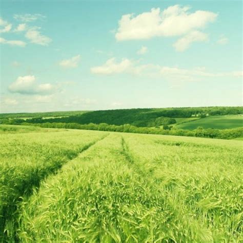 Stream وسلم Loading Background Free Download By 明日之子第三季 Listen