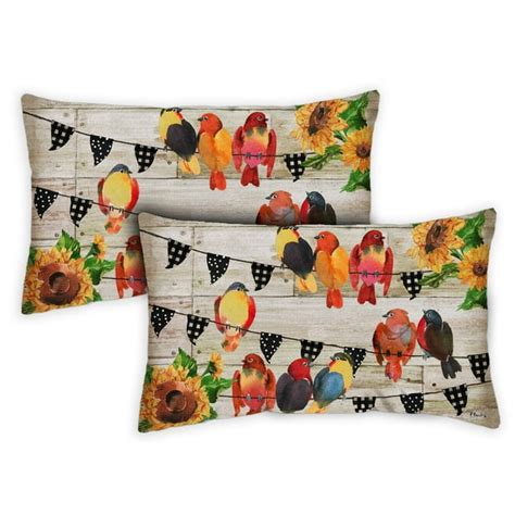 Toland Home Garden Set Of 2 Farmhouse Birds Spring Pillow Covers 12x18